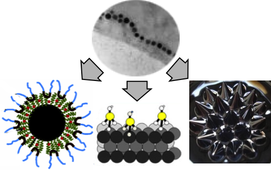 Synthetic Biology: Refactoring the Genetics of Metal Nanocluster ...