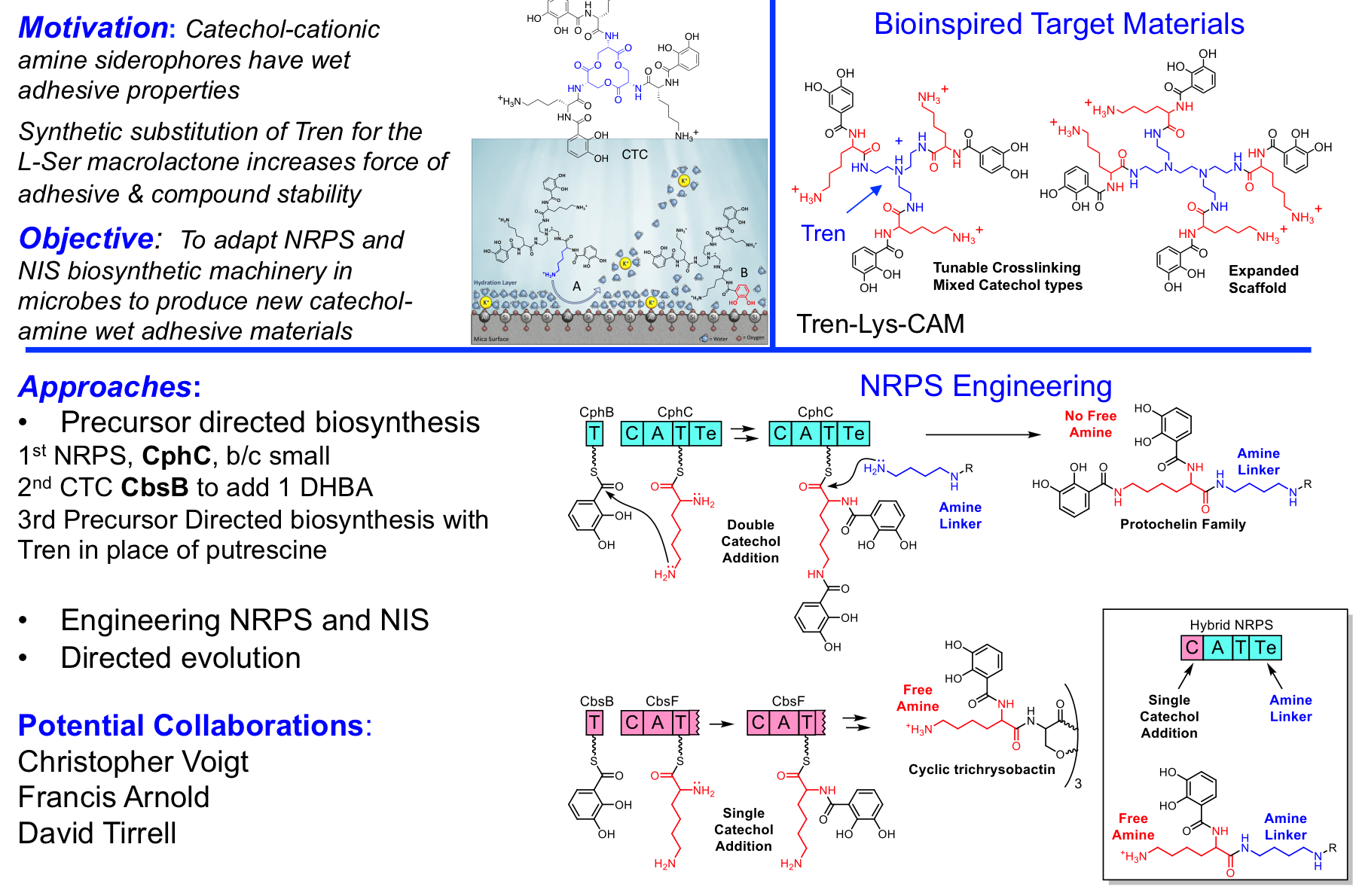 Synthetic Biology of Catechols: Harnessing Microbial Production of New ... Synthetic Biology of Catechols: Harnessing Microbial Production of New ...